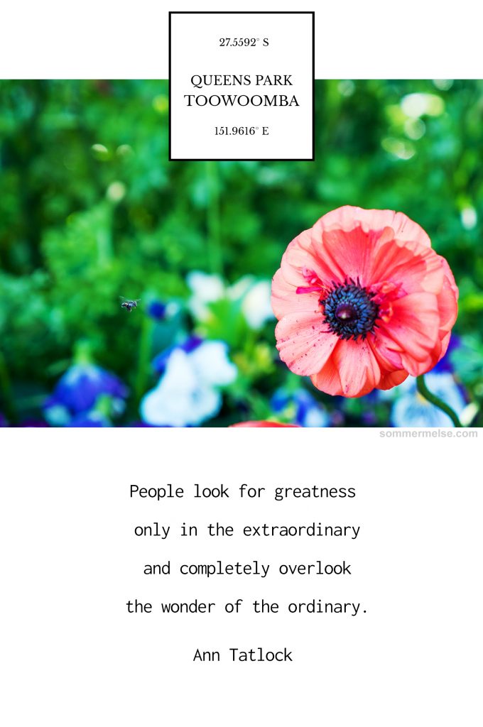 Finding Wonder 97 of 100 – Sommer Melse